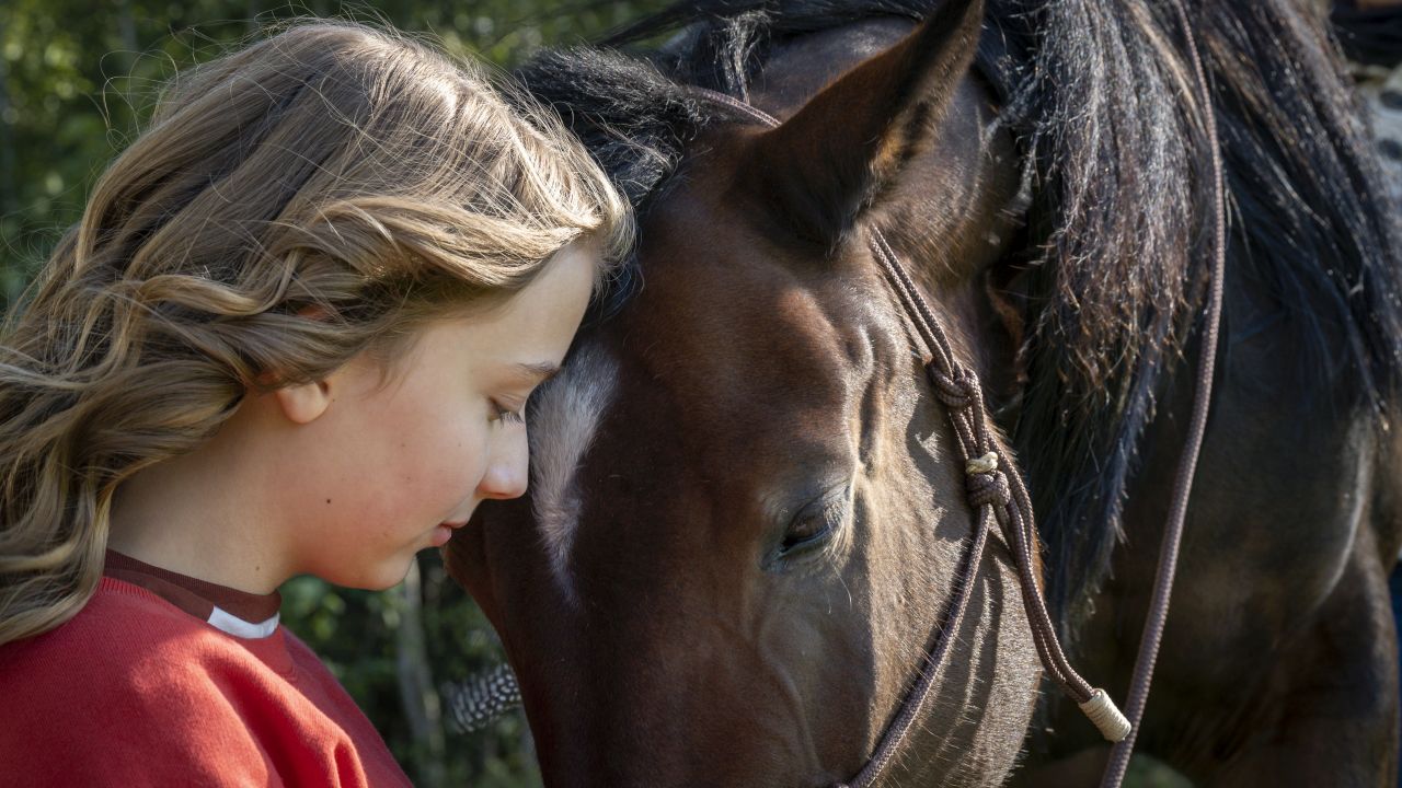 Ponisrček – Kinodvor