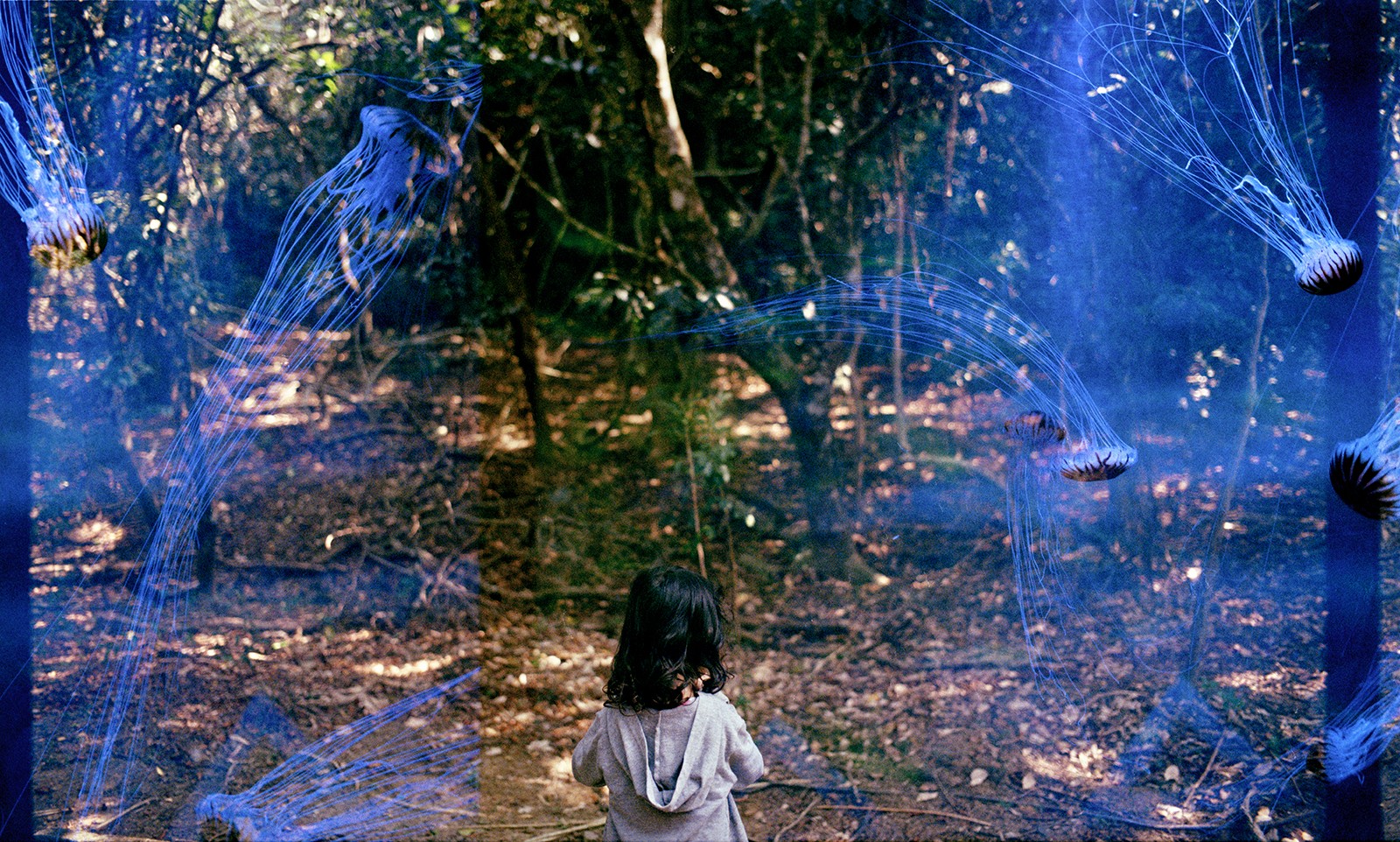 Na pol doma (1/2 Hometown) – Kinodvor